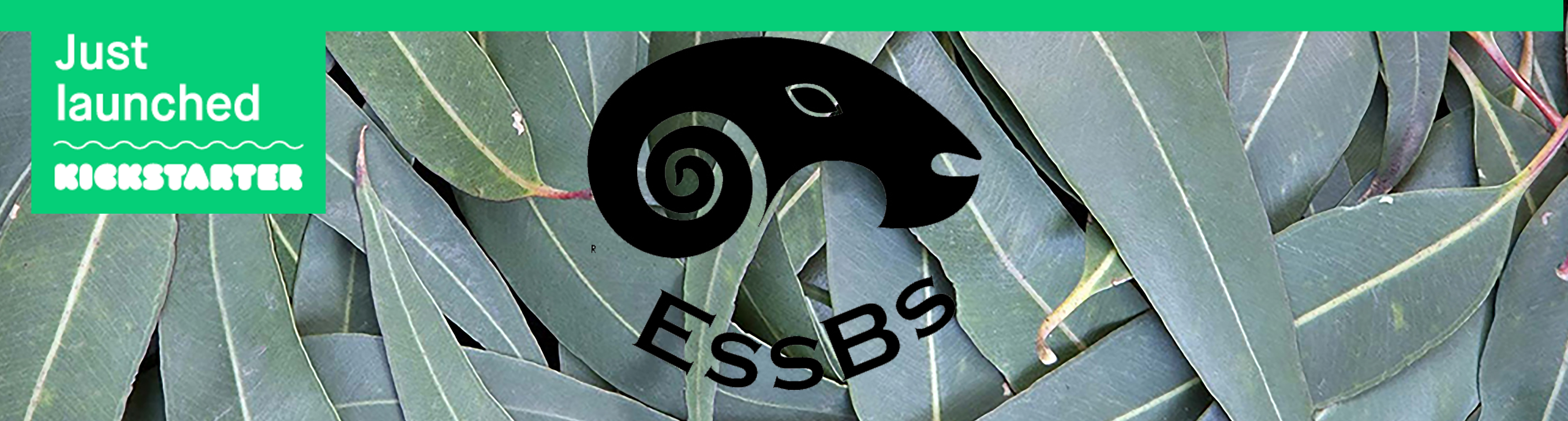 EssBs has Launched! – EssBs Minimal Environmental Footprint Footwear ...